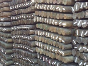 Red Pine and Southern Pine Posts – Pine Forest Lumber Company